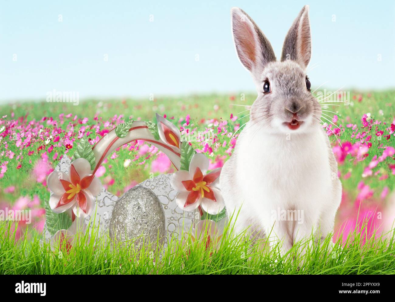 Sunny the easter bunny hi-res stock photography and images - Alamy
