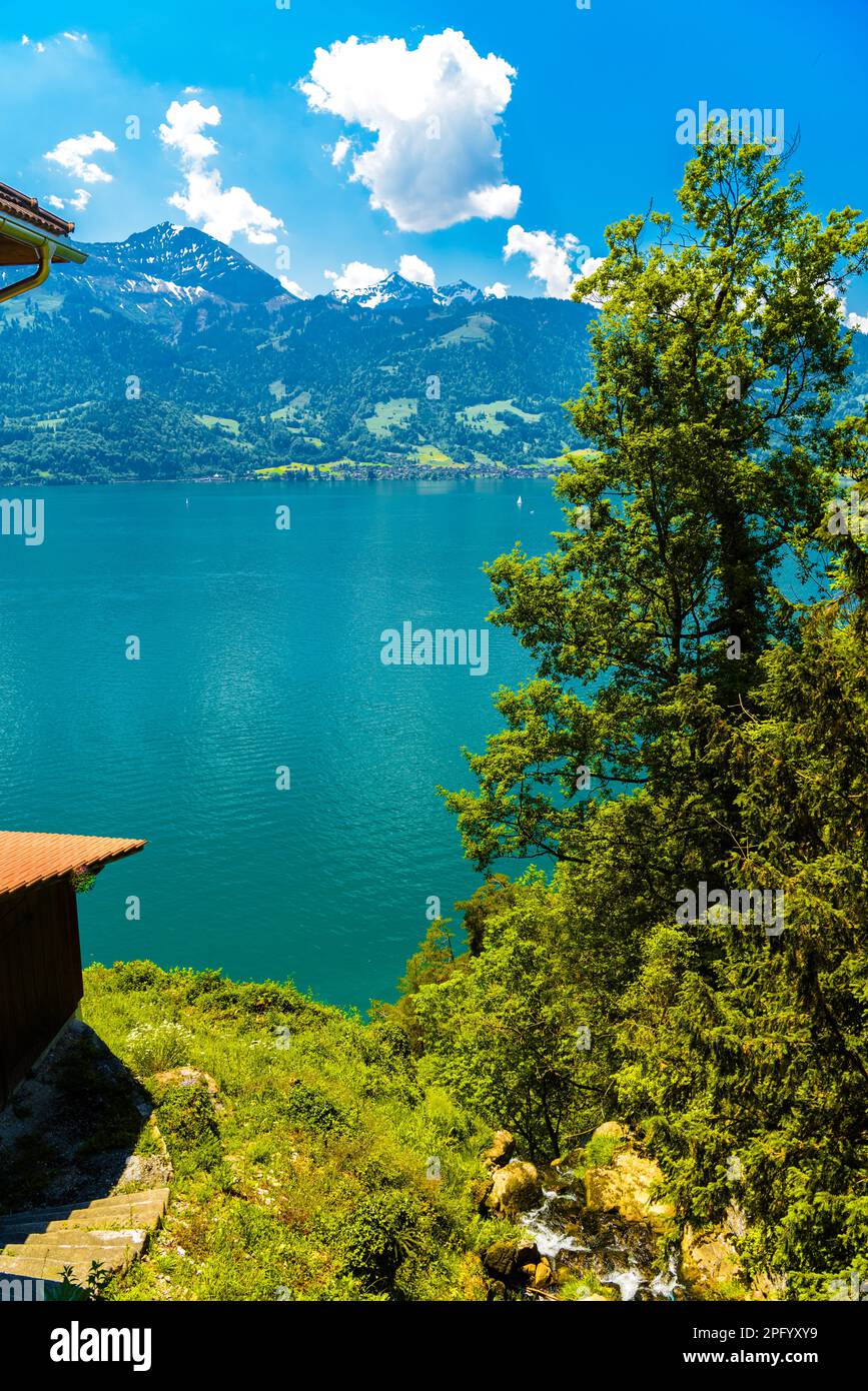 Lake Thun, trees and mountains, Thunersee Bern Switzerland Stock Photo ...