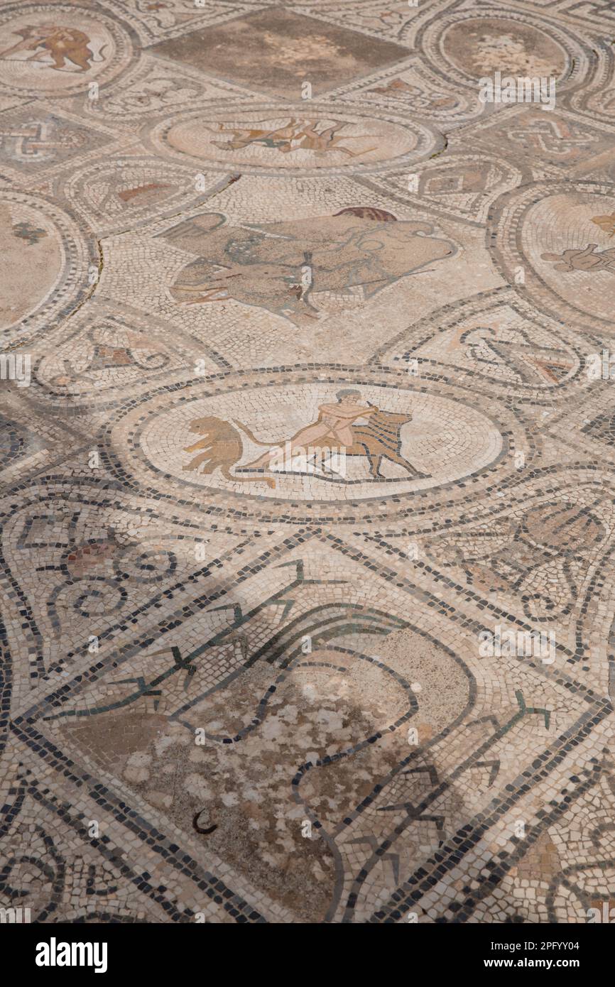 Mosaic of Hercules Capturing the Cretan Bull in Volubilis Morocco Stock ...