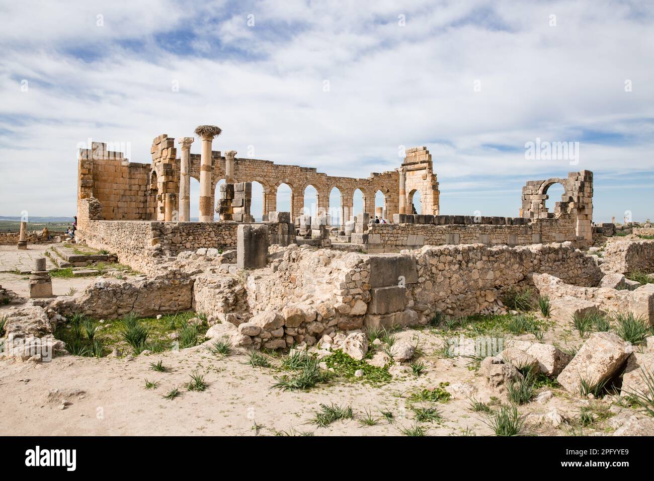 Roman ruins in Volubilis Morocco Stock Photo - Alamy