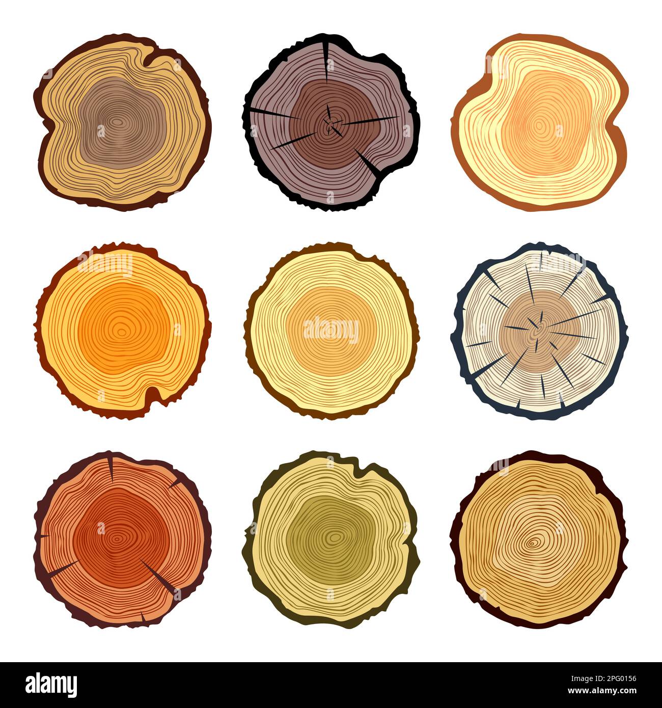 Round colorful tree trunk cuts, sawn pine or oak slices, lumber. Saw ...