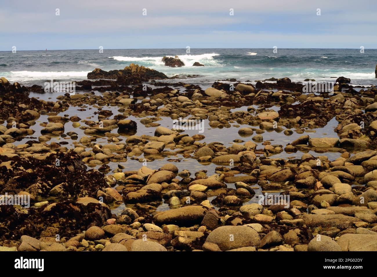 Surf breaking Asilomar State Marine Reserve Monterey Bay California ...
