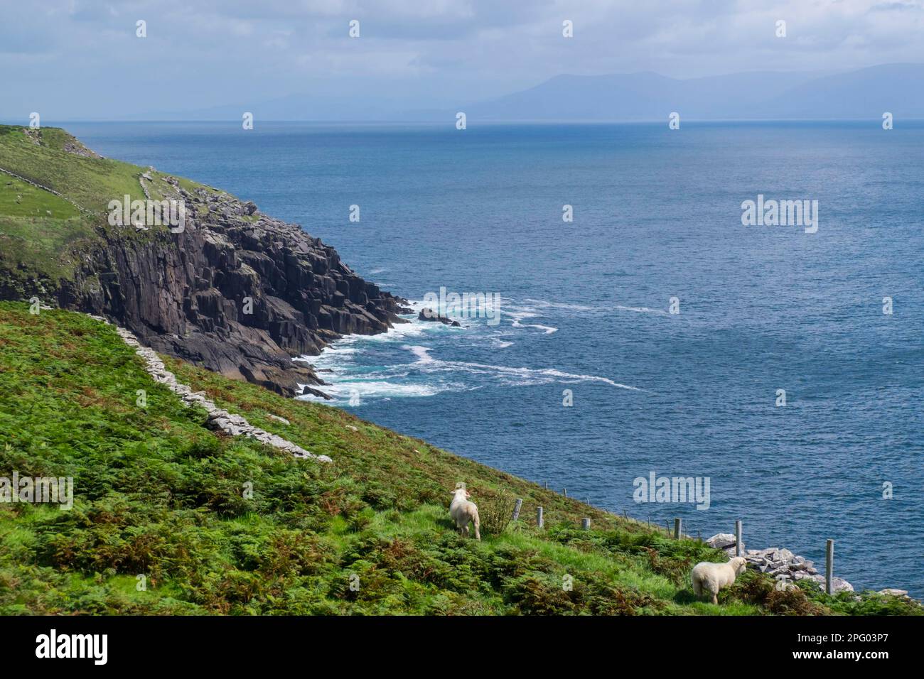 Coastal Landscape at Slea Head, Dingle Peninsula, County Kerry, Ireland ...