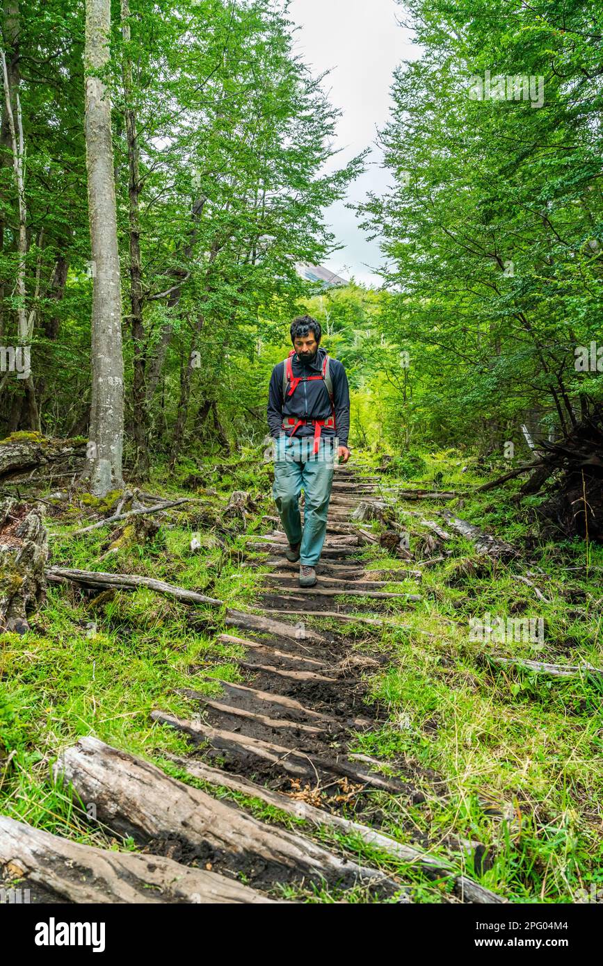 Man walking on a path made of old wooden planks to the lagoon at Cerro ...