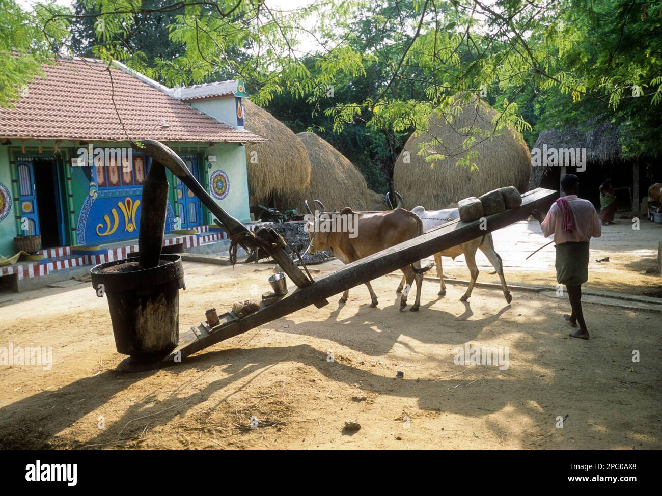 Sekku, traditional wooden oil extractor, Tamil Nadu, India, Asia Stock ...