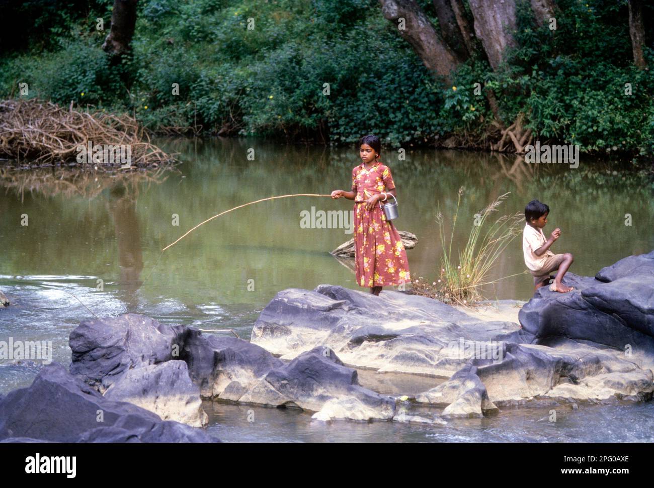 A tribal girl angling in Moyar river, Mudumalai, Tamil Nadu, India ...