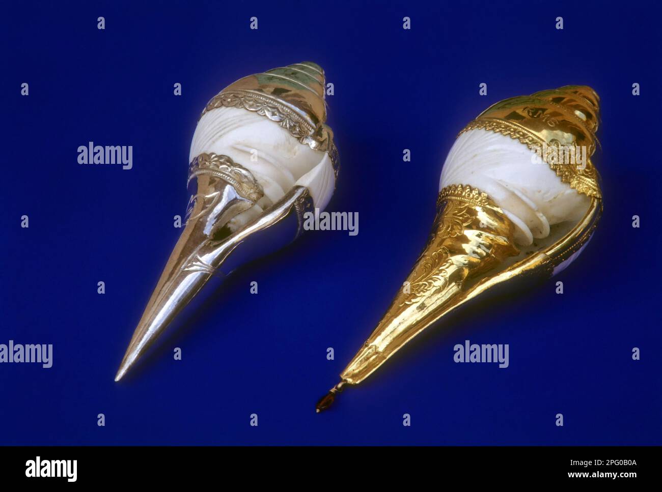 Natural occurring Conch covered with silver and gold ones used in ...