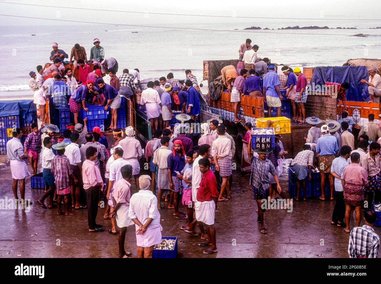 Fishing yard at Thalassery Tellicherry, Kerala, South India, India ...