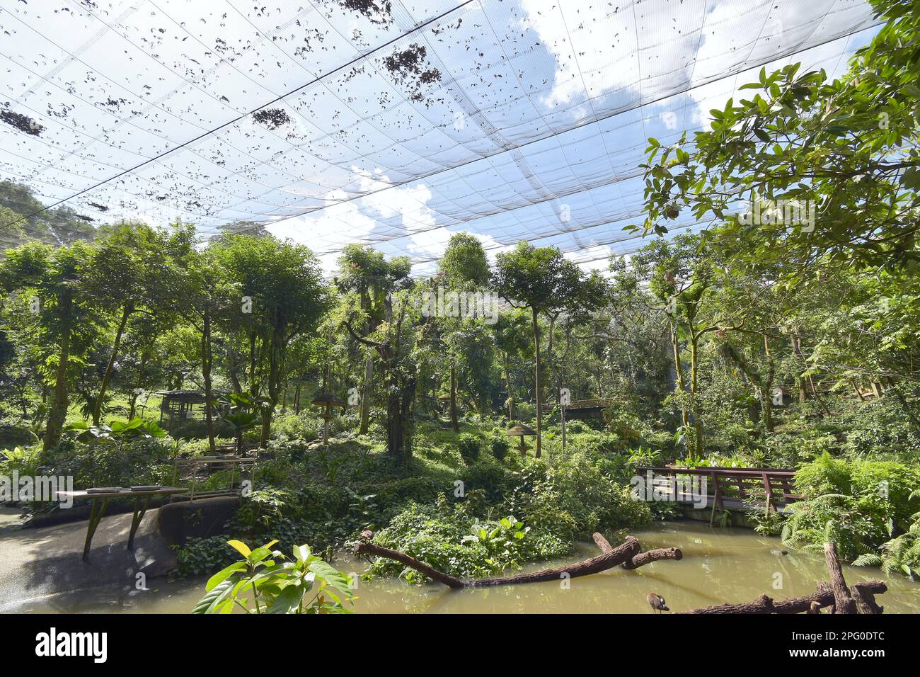 The former African Waterfall Aviary in Singapore's Jurong Bird Park was ...