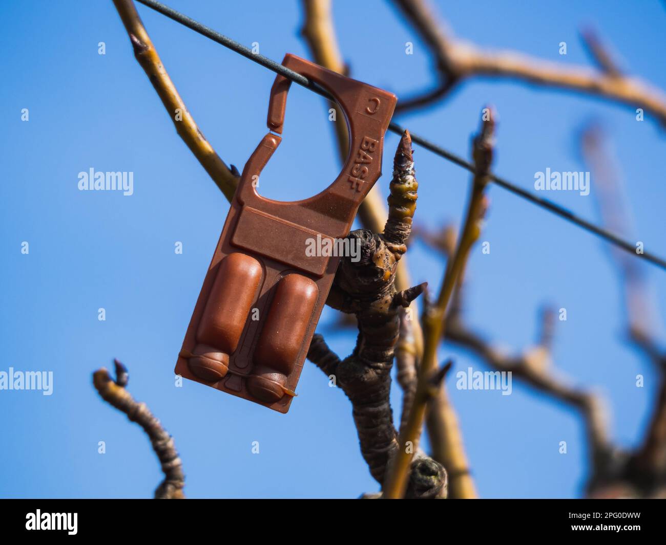 Mating disruption pheromone hi-res stock photography and images - Alamy