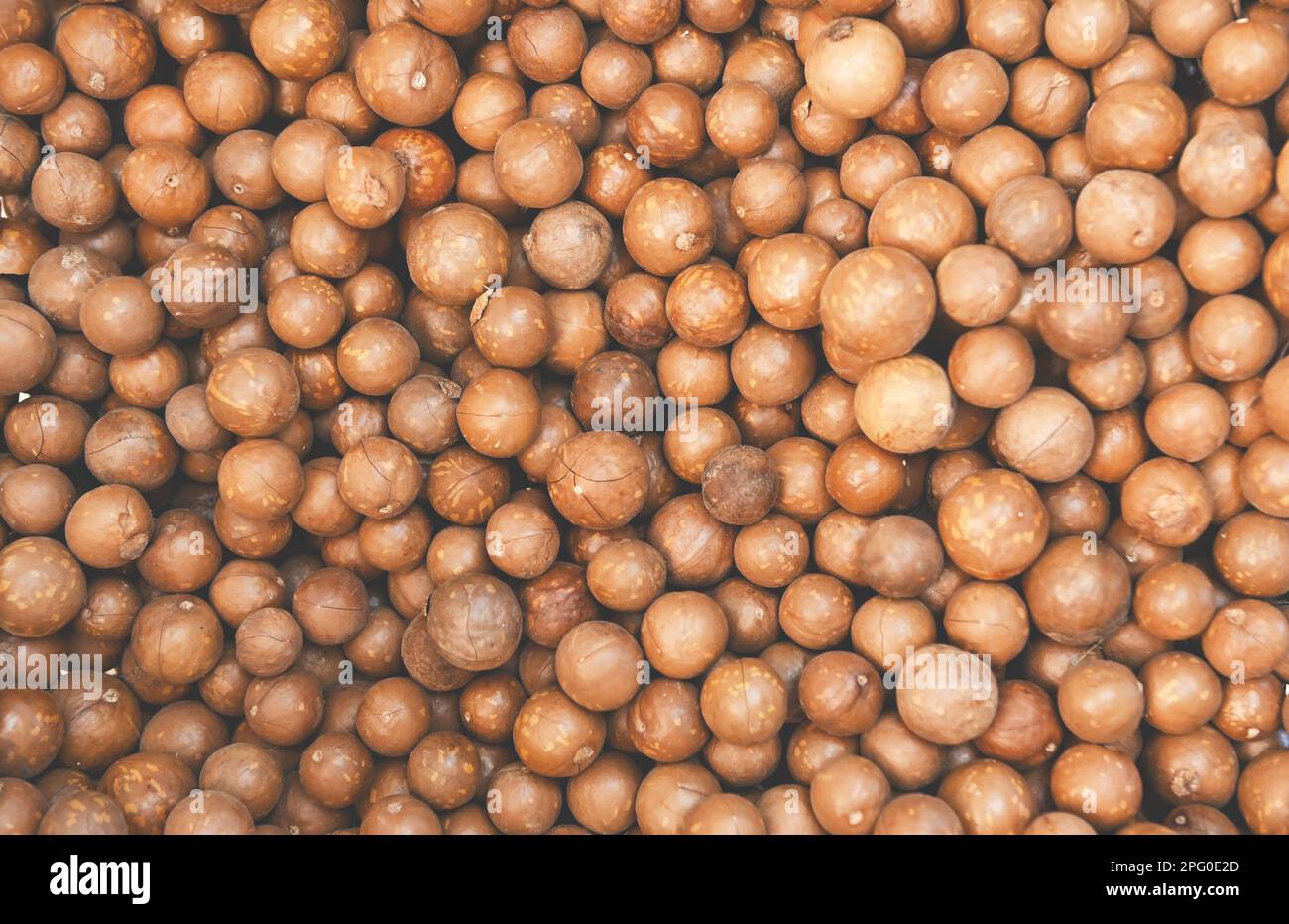 macadamia nuts texture background, fresh natural shelled raw macadamia ...