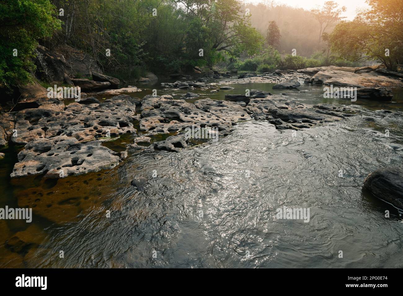 River stream waterfall in forest landscape, beautiful nature water ...