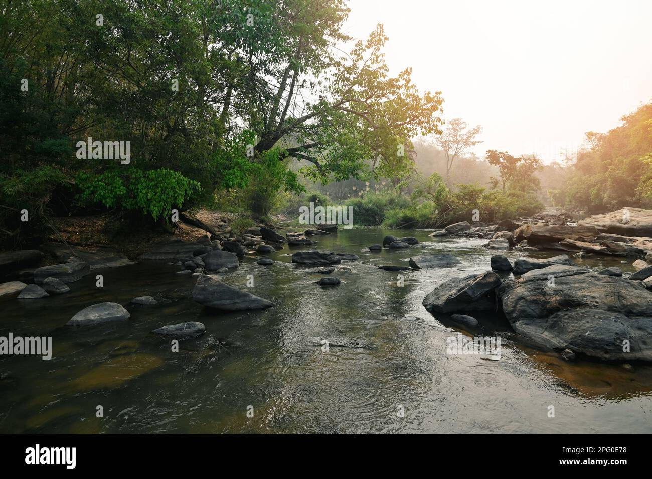 River stream waterfall in forest landscape, beautiful nature water ...