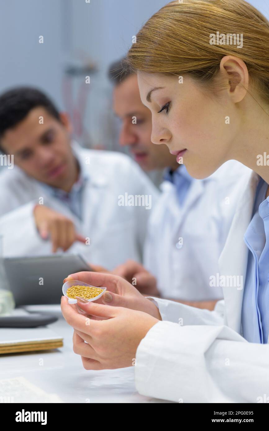 woman laboratory assistant in the laboratory of food quality Stock ...