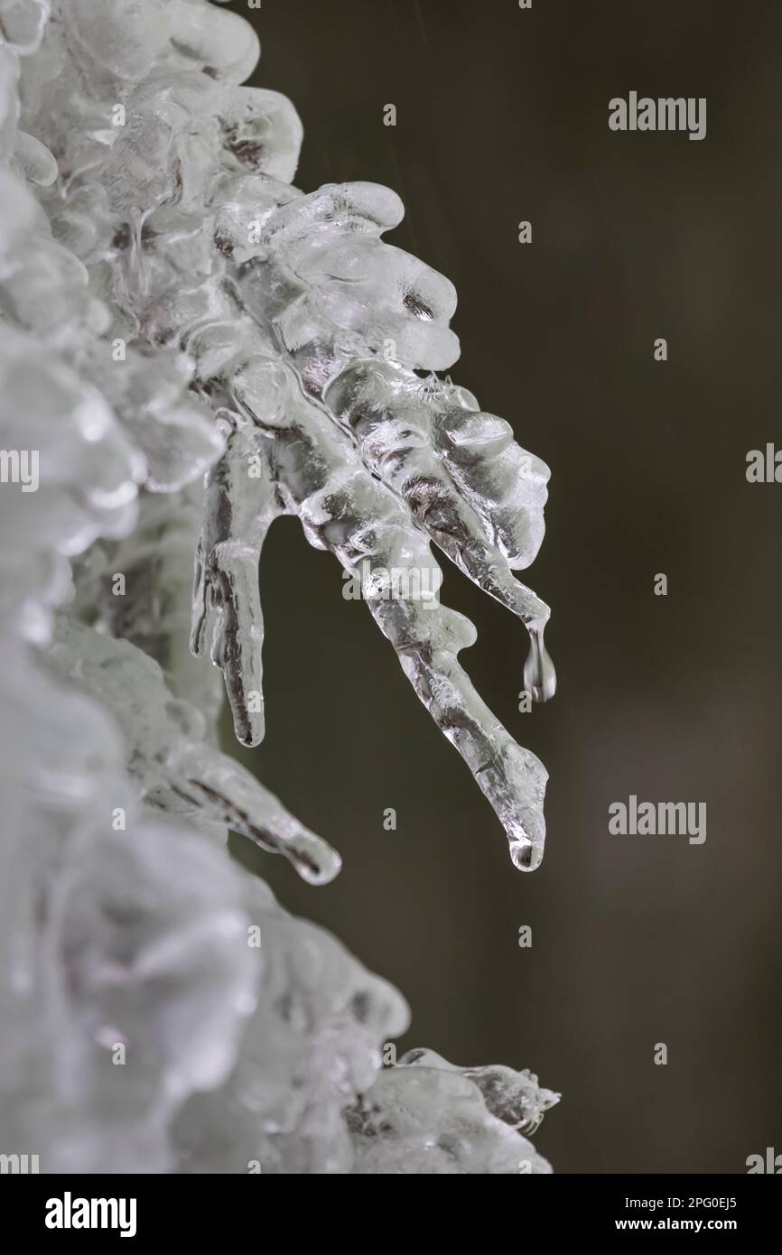 Closeup of fragile ice formations of Eben Ice Caves, Rock River Canyon ...