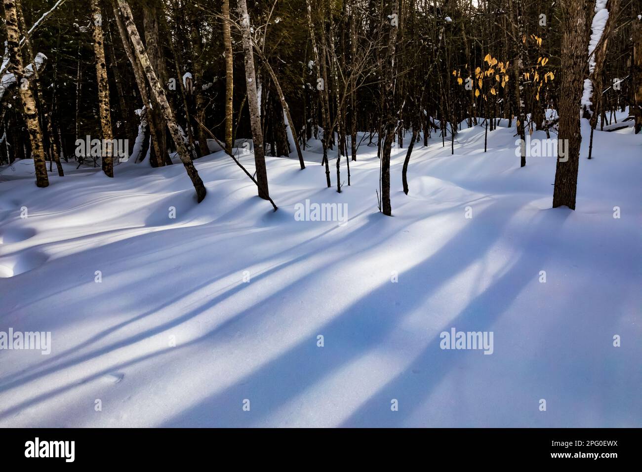 Upper Peninsula, Michigan, USA Stock Photo - Alamy