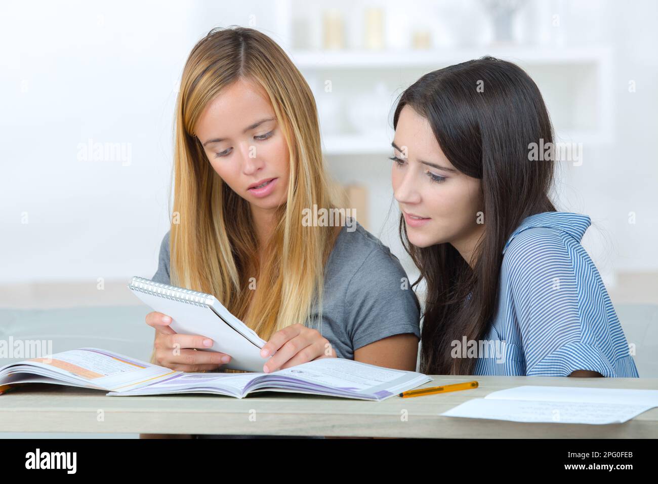 two female students studying together at home Stock Photo - Alamy