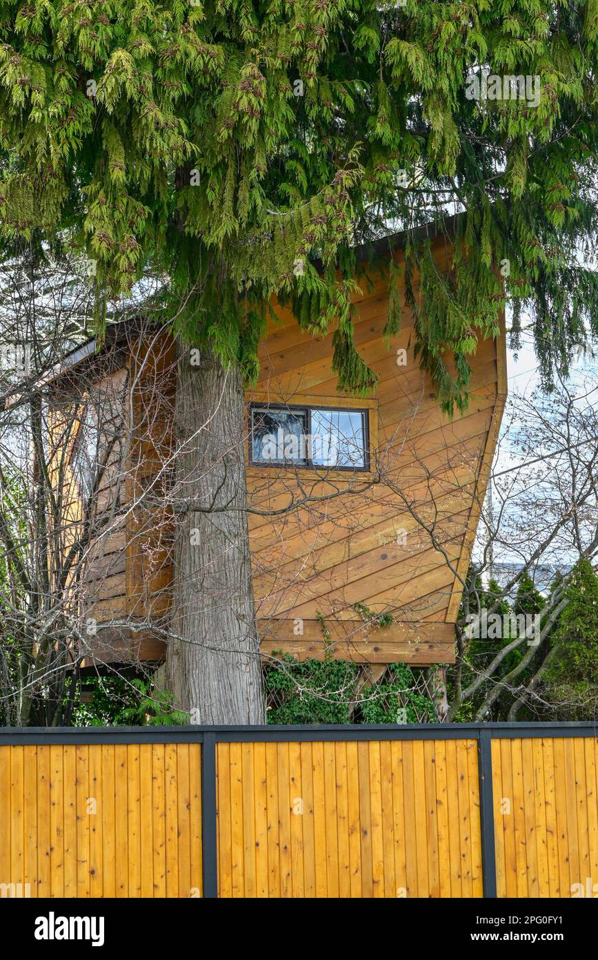 Deluxe tree house Stock Photo - Alamy