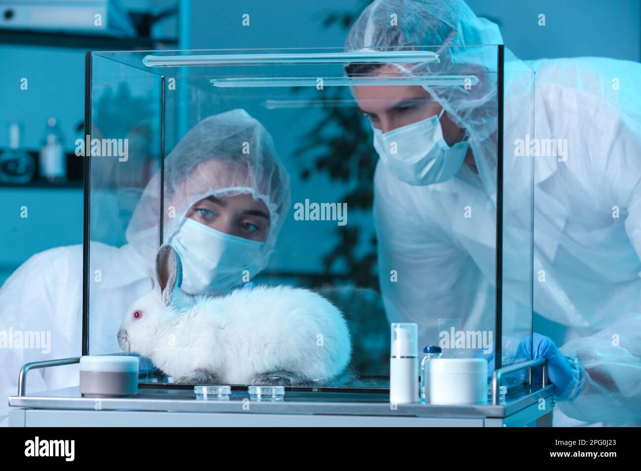 Observing animal laboratory hi-res stock photography and images - Alamy