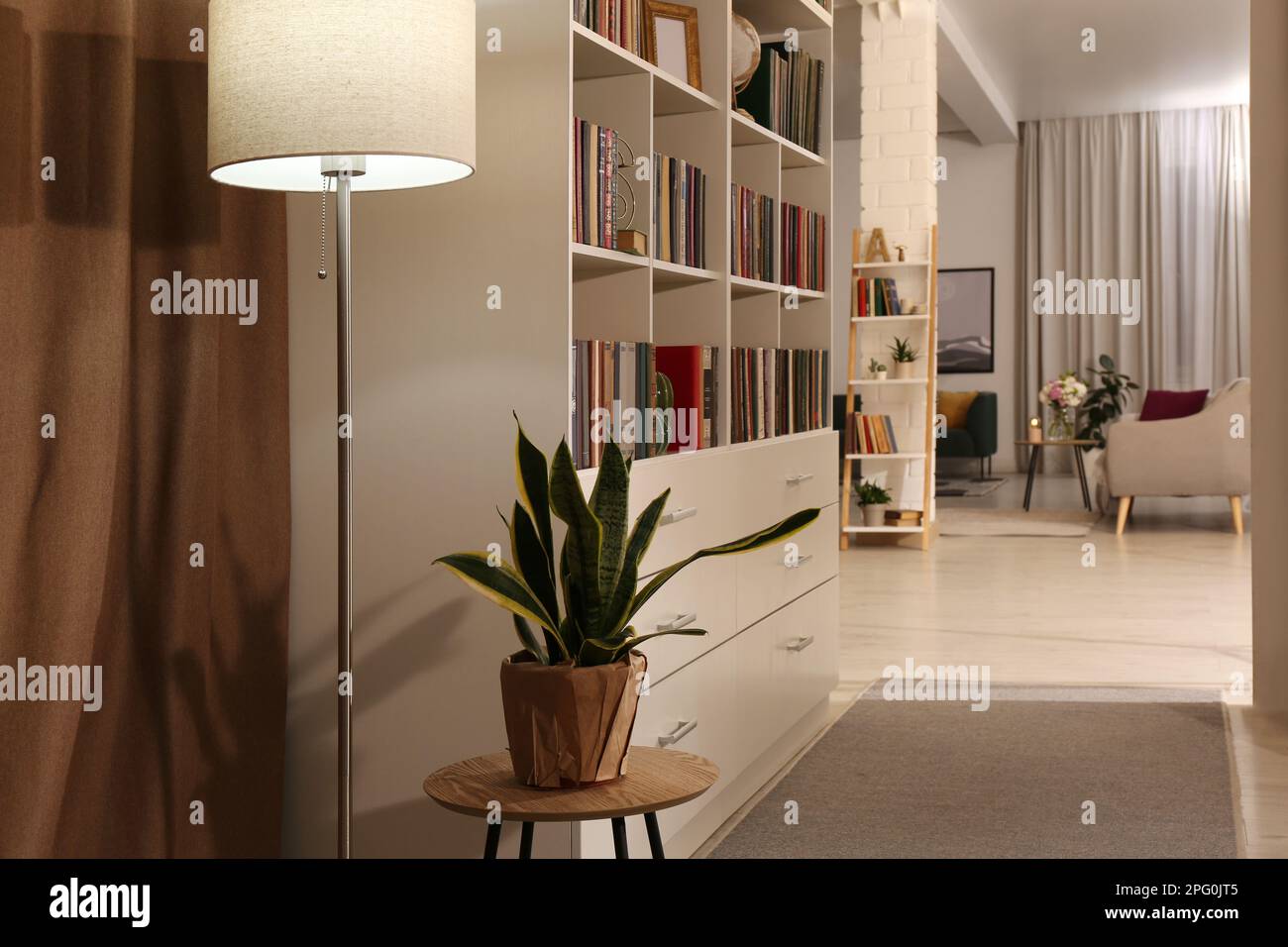 Home library interior with collection of different books on shelves ...