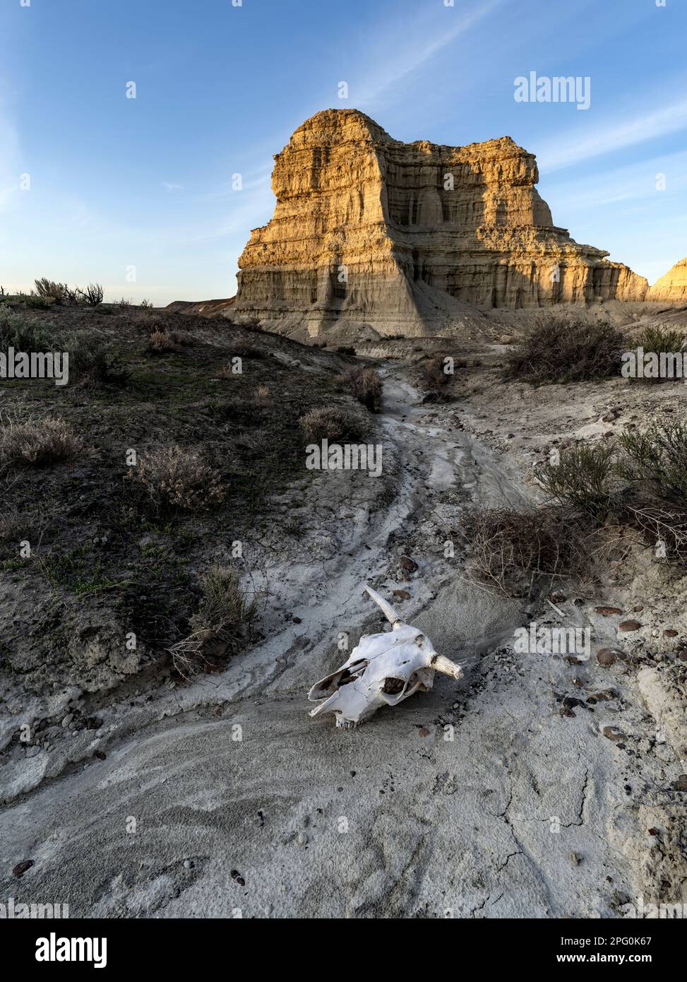 Harsh desert hi-res stock photography and images - Alamy