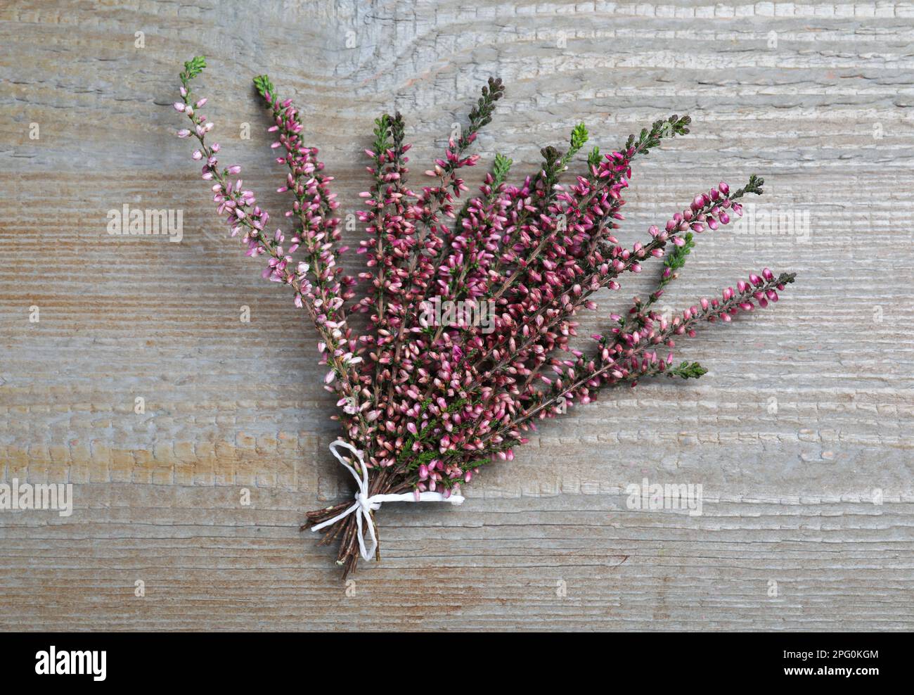 Heather grey top hi-res stock photography and images - Alamy