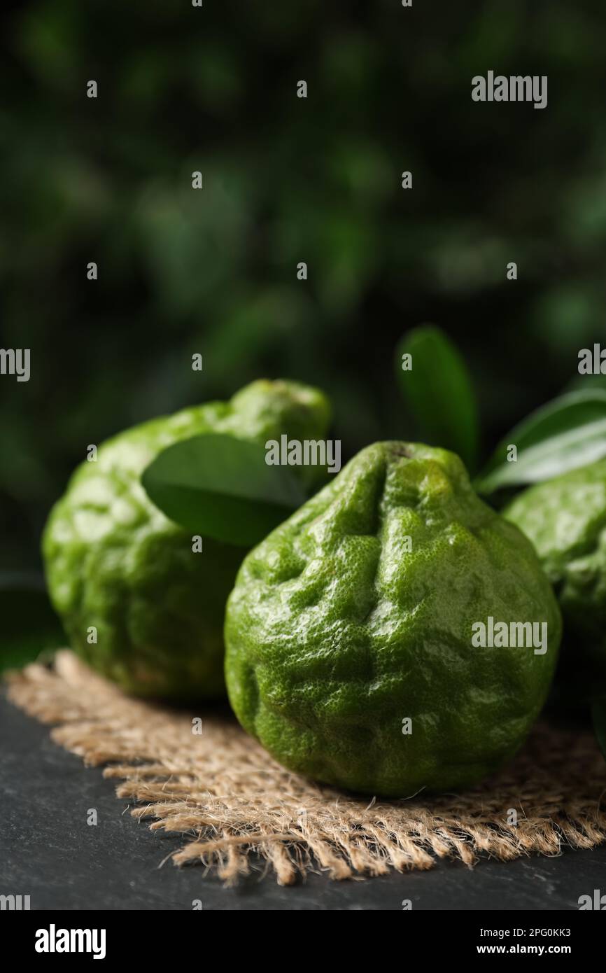 Fresh ripe bergamot fruits with green leaves on black table against ...