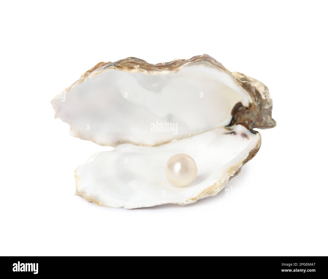 Open oyster shell with pearl on white background Stock Photo - Alamy