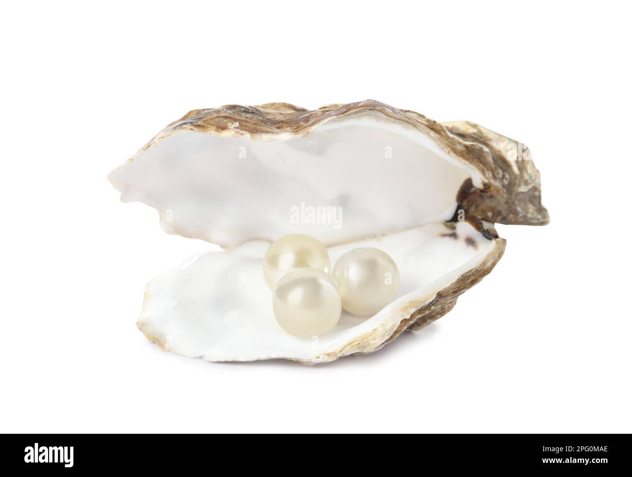 Open oyster shell with pearls on white background Stock Photo - Alamy