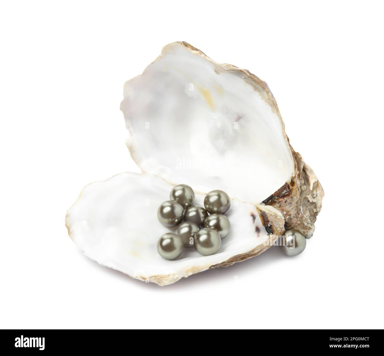 Open oyster shell with black pearls on white background Stock Photo - Alamy