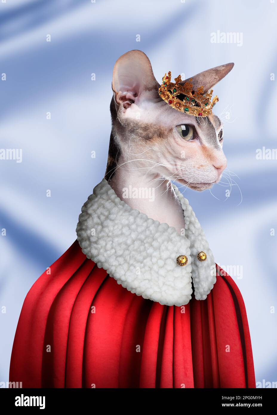 Sphynx cat dressed like royal person against light blue background ...