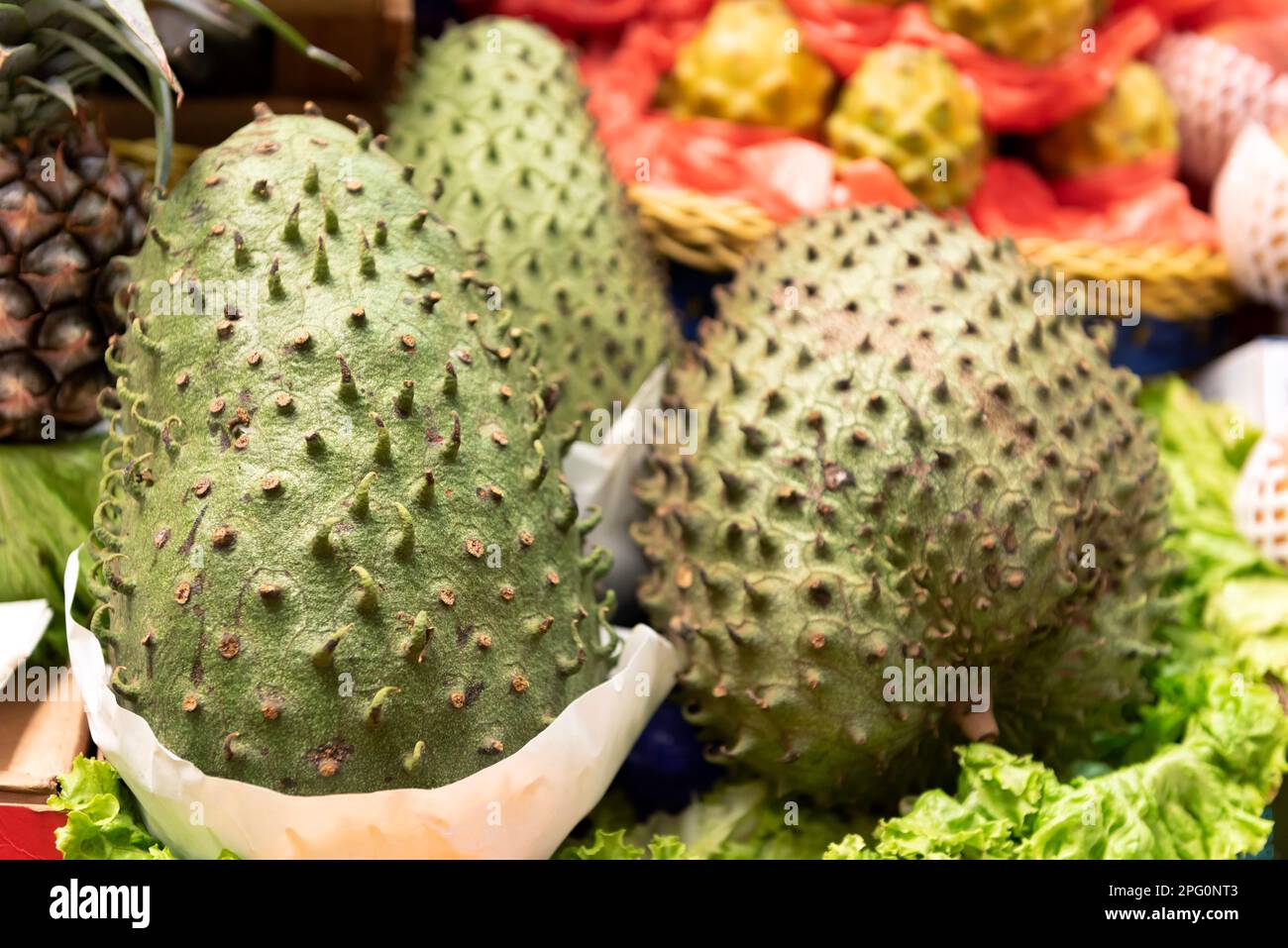 Soursop Fruit In Telugu