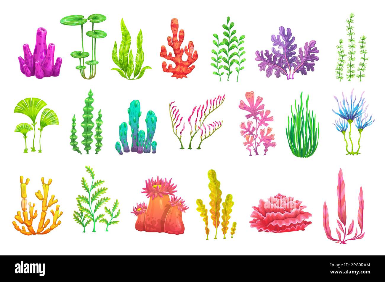 Cartoon underwater seaweed plants. Aquarium and sea algae. Coral reef ...