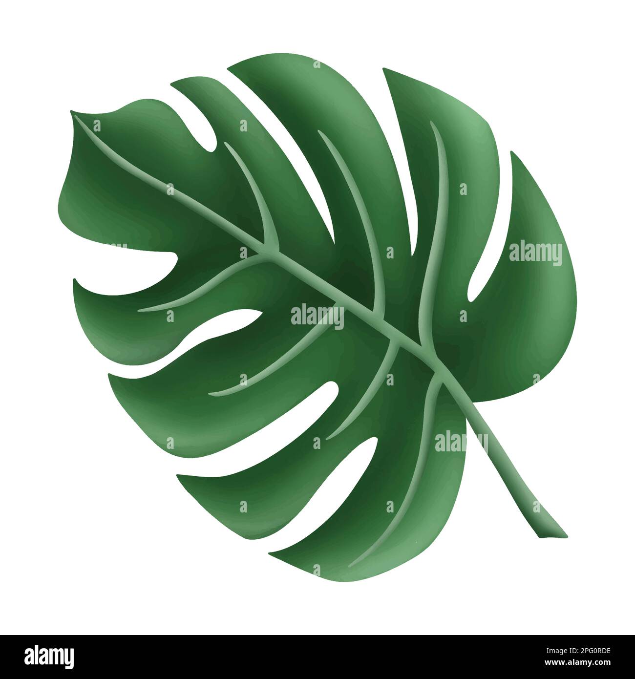 Tropical Leaf Clip Art