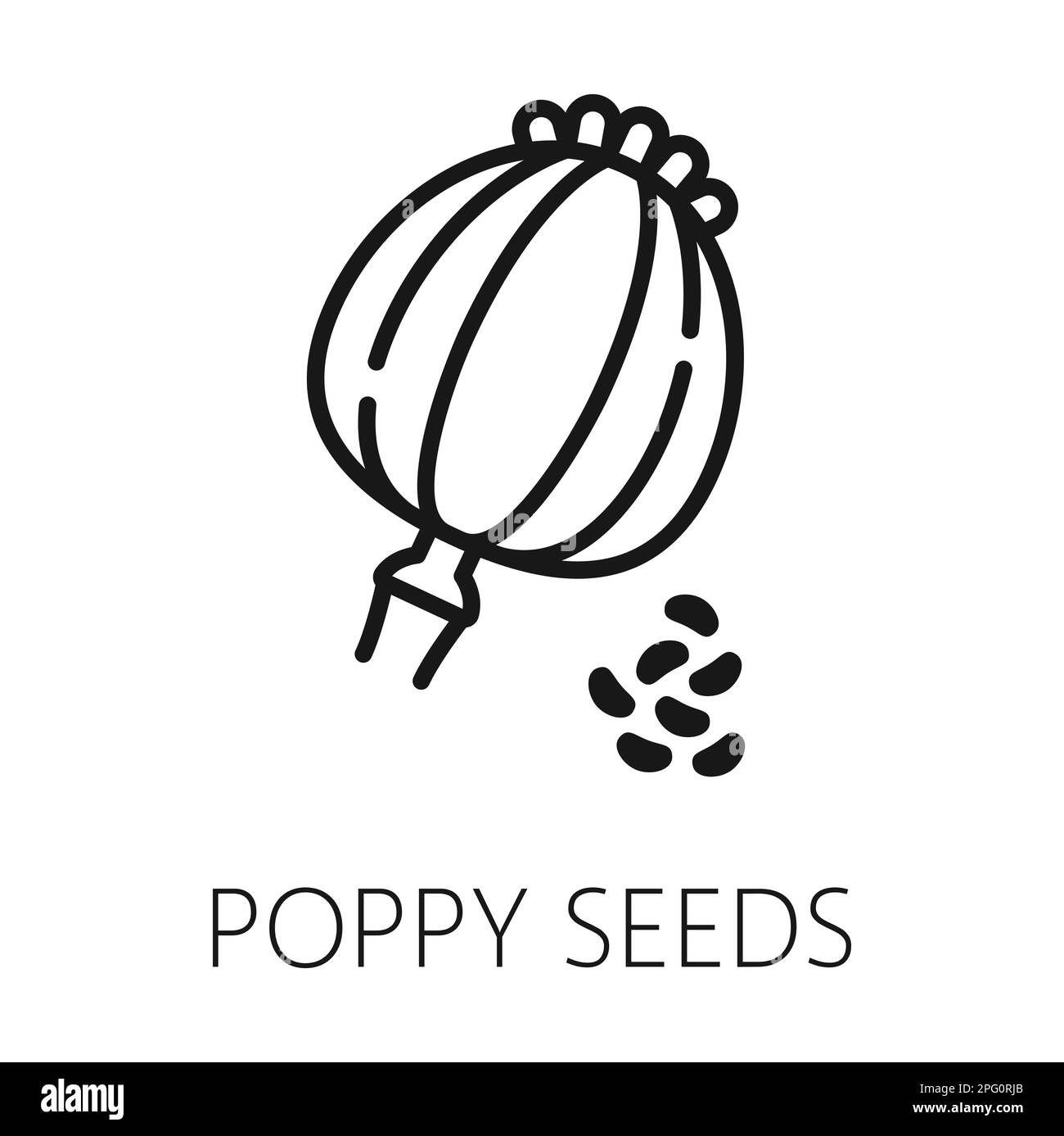 Poppy flower engraving Cut Out Stock Images & Pictures - Alamy