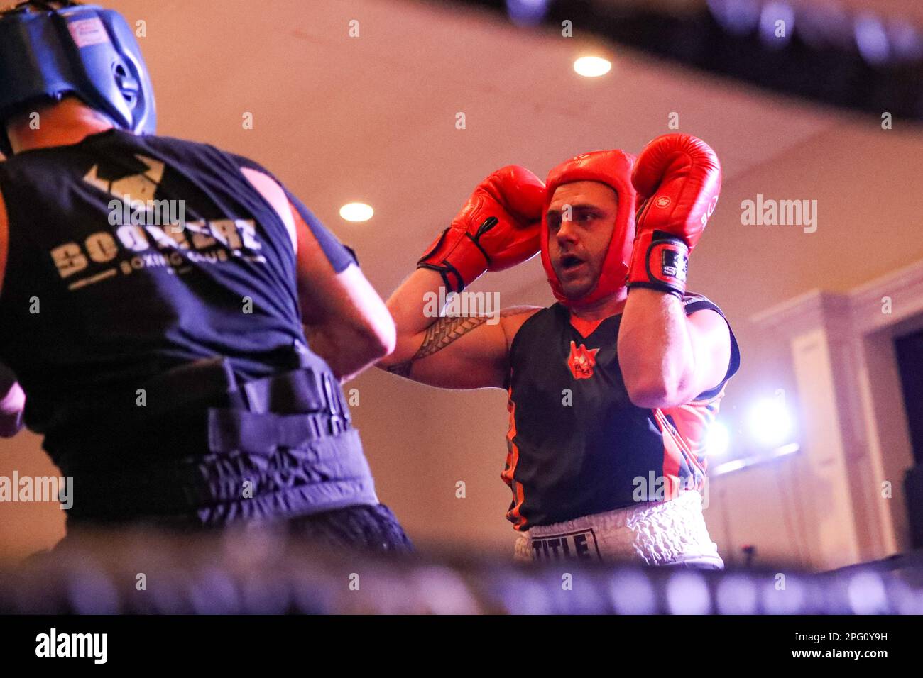 Daniel savarie hi-res stock photography and images - Alamy