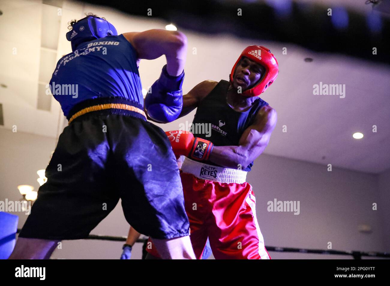 March 18 2023, Marconi Club, London Ontario Canada. Ibrahim Gargar (Red ...
