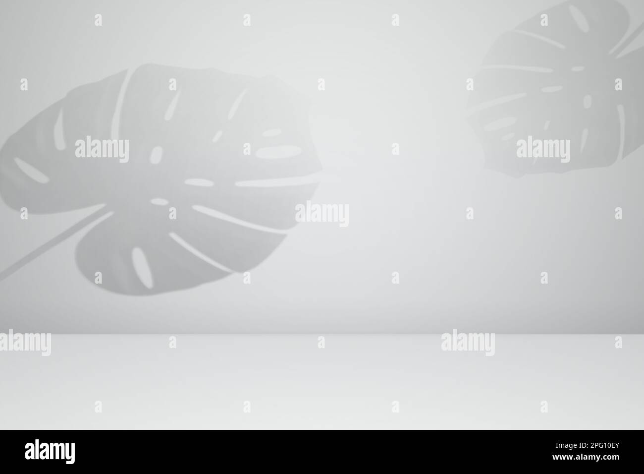 Empty monstera shadow texture pattern cement on grey wall background ...