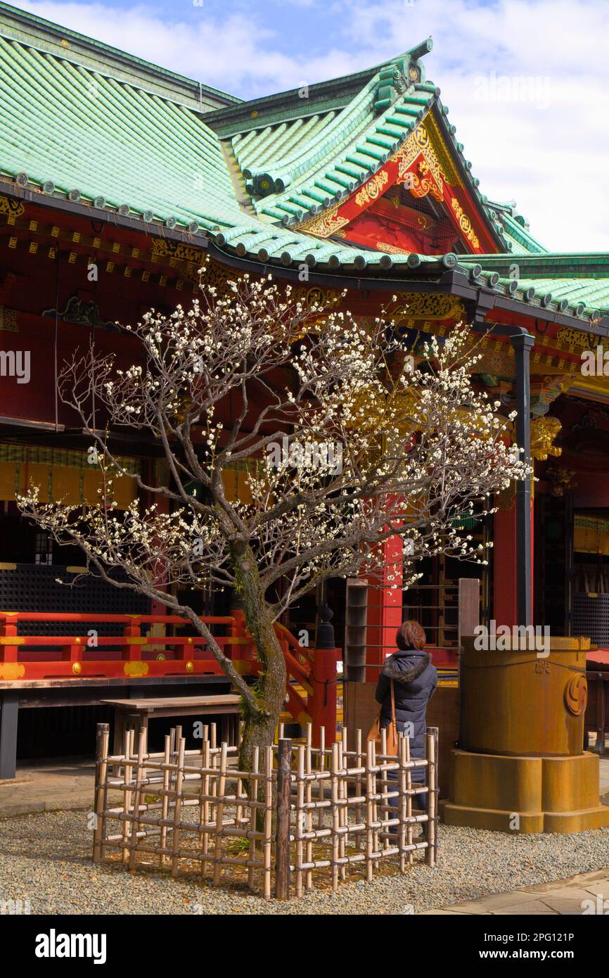 Japan, Tokyo, Nezu Shrine, shinto shrine Stock Photo - Alamy