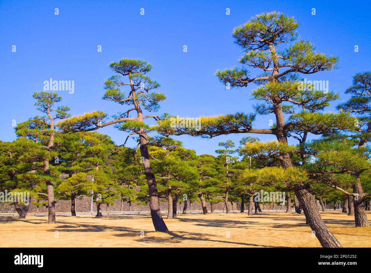 Plaza imperial hi-res stock photography and images - Alamy