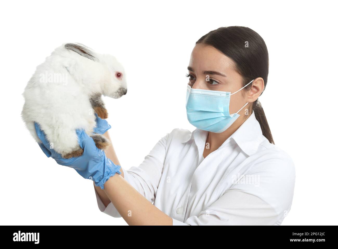 Scientist holding rabbit on white background. Animal testing concept ...