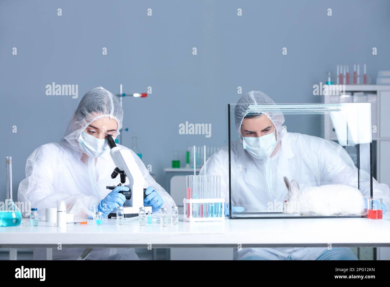 Rabbit adult laboratory hi-res stock photography and images - Alamy