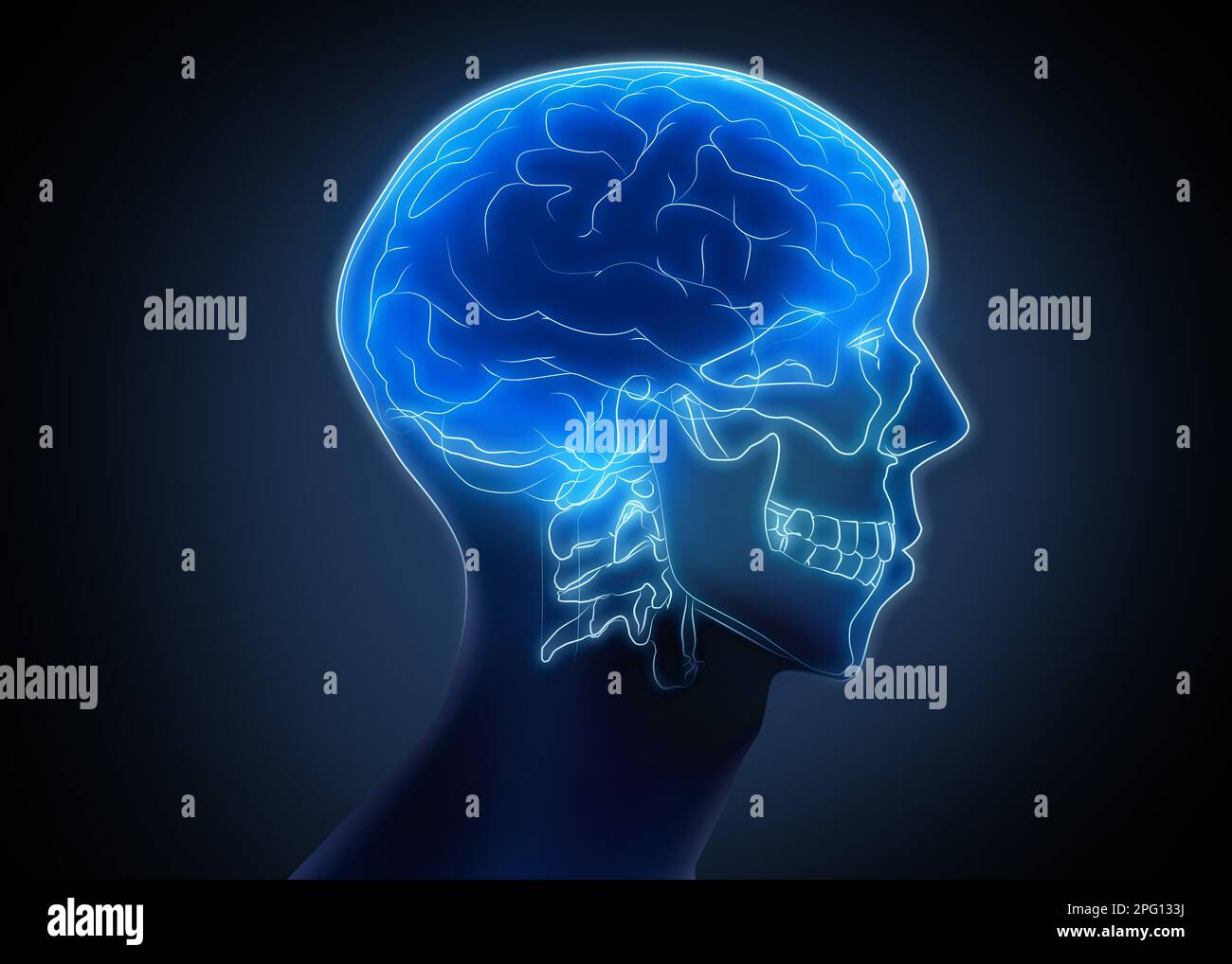 Scan of human brain on dark background, illustration Stock Photo - Alamy