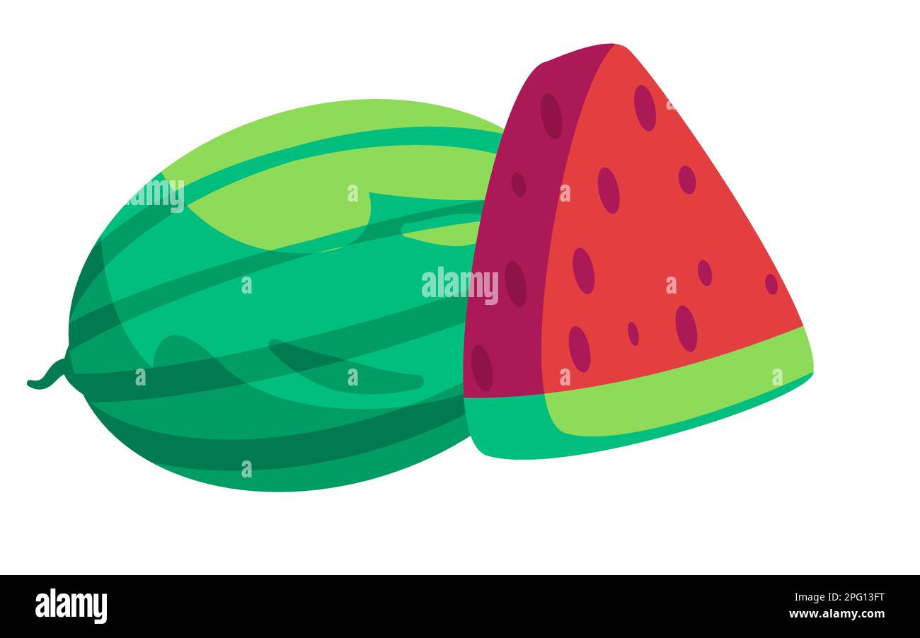 Water melon slice and round fruit drawing illustration Stock Vector ...