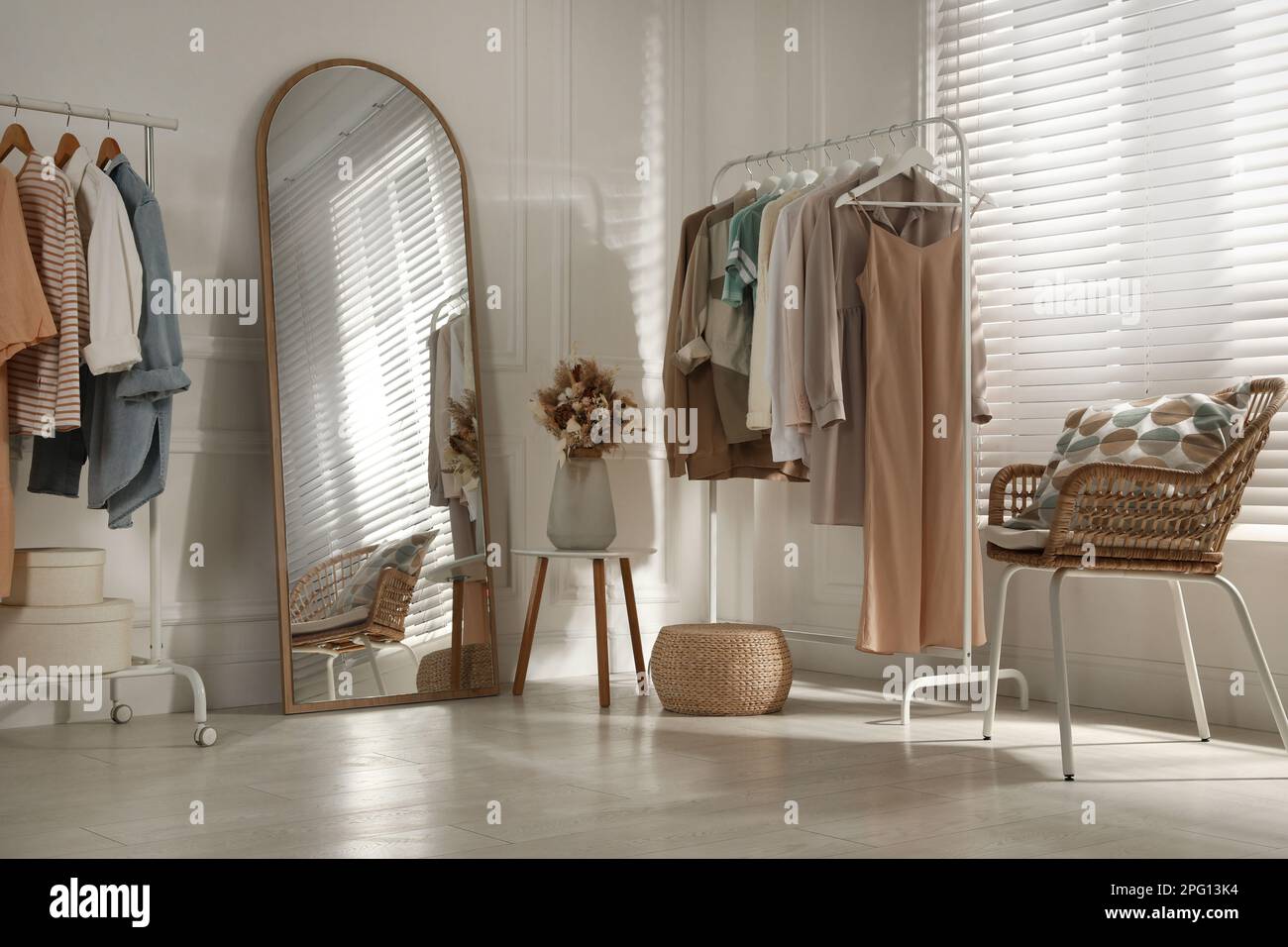 Modern dressing room interior with stylish clothes and beautiful dry ...
