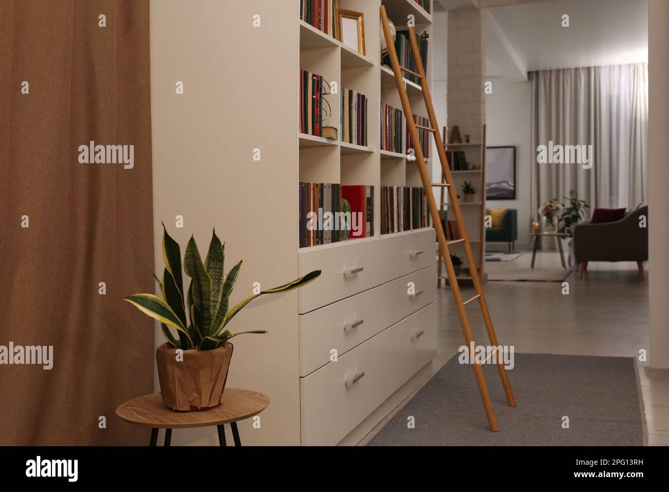 Home library interior with collection of different books on shelves ...