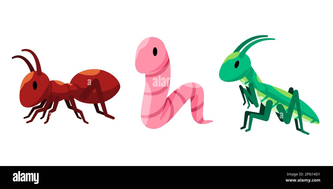Ant worm and praying mantis drawing illustration set of insects small ...