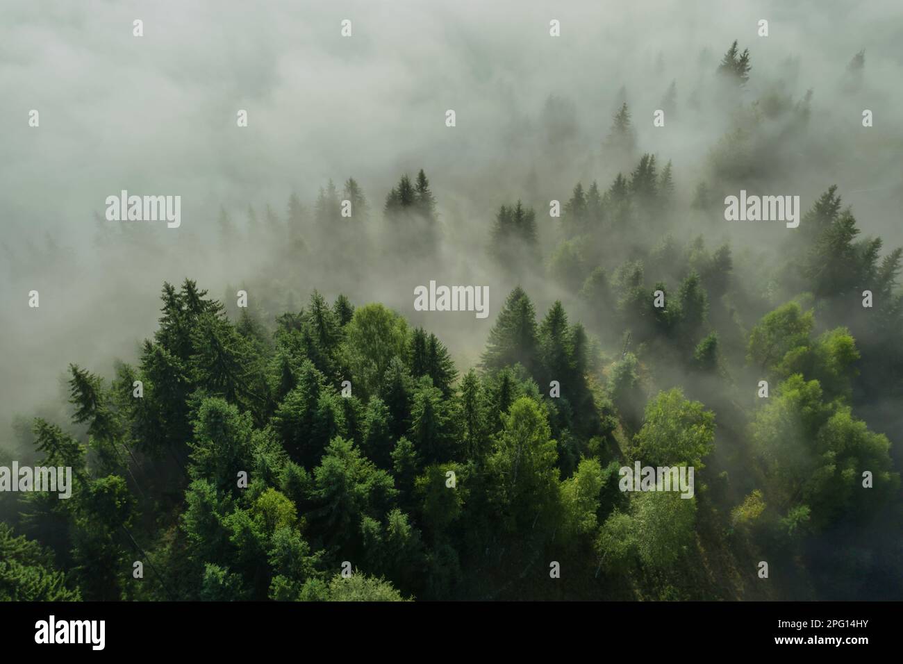 Aerial view of beautiful landscape with misty forest Stock Photo - Alamy