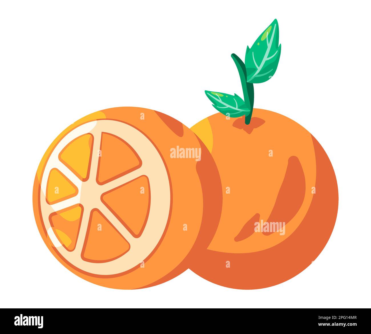 Orange fruit round and sliced fresh cartoon drawing illustration Stock ...