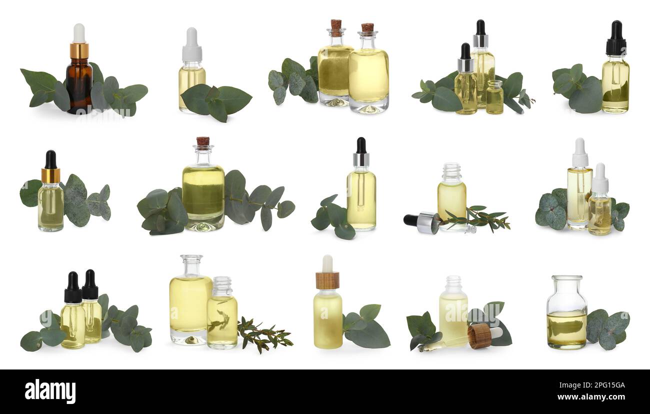 Set with eucalyptus essential oil on white background. Banner design ...